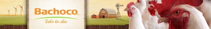 Bolsa de trabajo de Bachoco, S.A. de C.V. | Empleo Nuevo