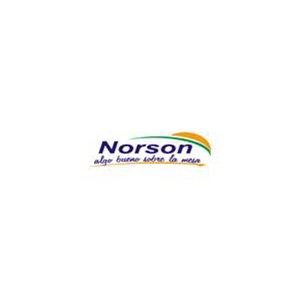 Bolsa de trabajo de Grupo Norson | Empleo Nuevo